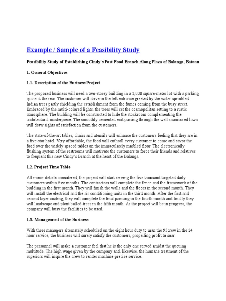 Examples of A Feasibility Study | PDF | Loans | Banks