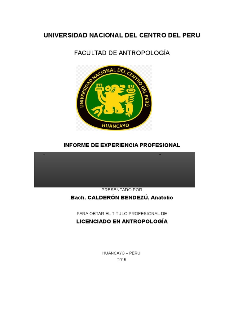 Enforme de Experiencia Profesional | PDF
