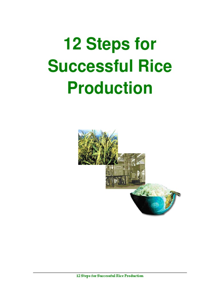 12 Steps for Successful Rice Farming | PDF | Rice | Weed