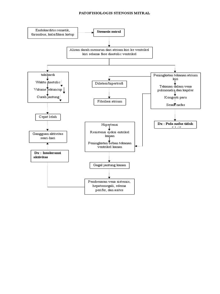 Pathway Stenosis Mitral | PDF
