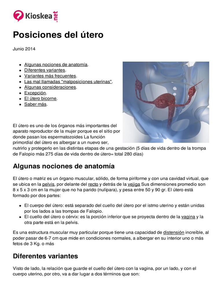 Variantes y posiciones del útero | PDF | Útero | Parto