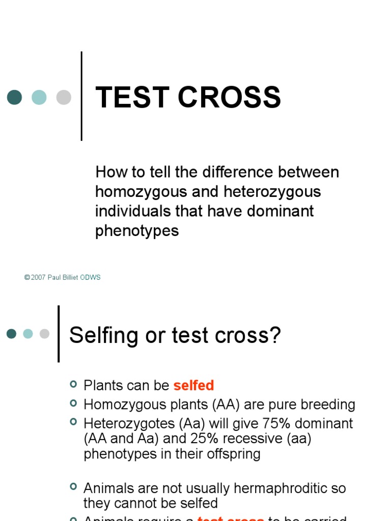 Test Cross: How To Tell The Difference Between Homozygous and ...