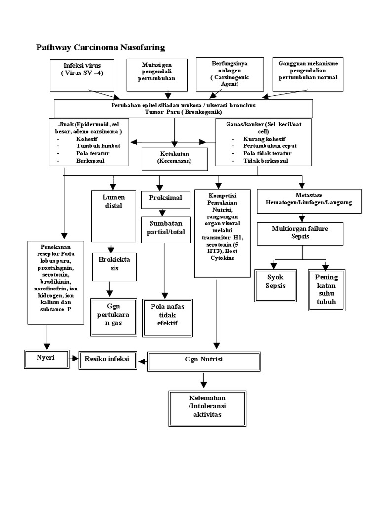 Pathway Carcinoma Nasofaring | PDF