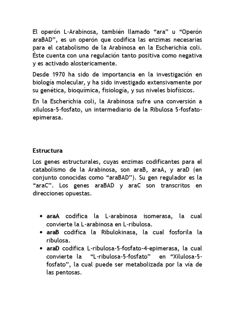 El Operón L-Arabinosa TRADUCCION | PDF | Operón | Macromoléculas