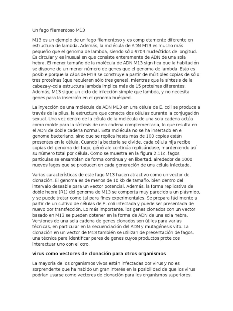 Un Fago Filamentoso M13 | PDF | Bacteriófago | Adn