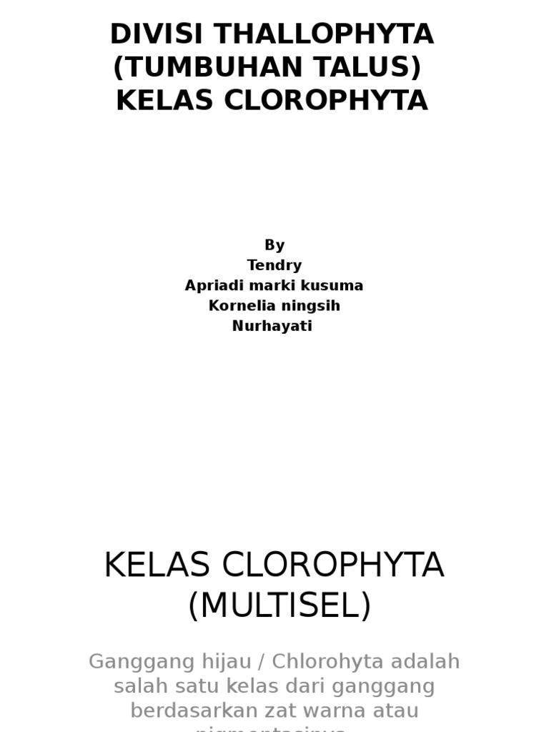Divisi Thallophyta (Tumbuhan Talus) | PDF