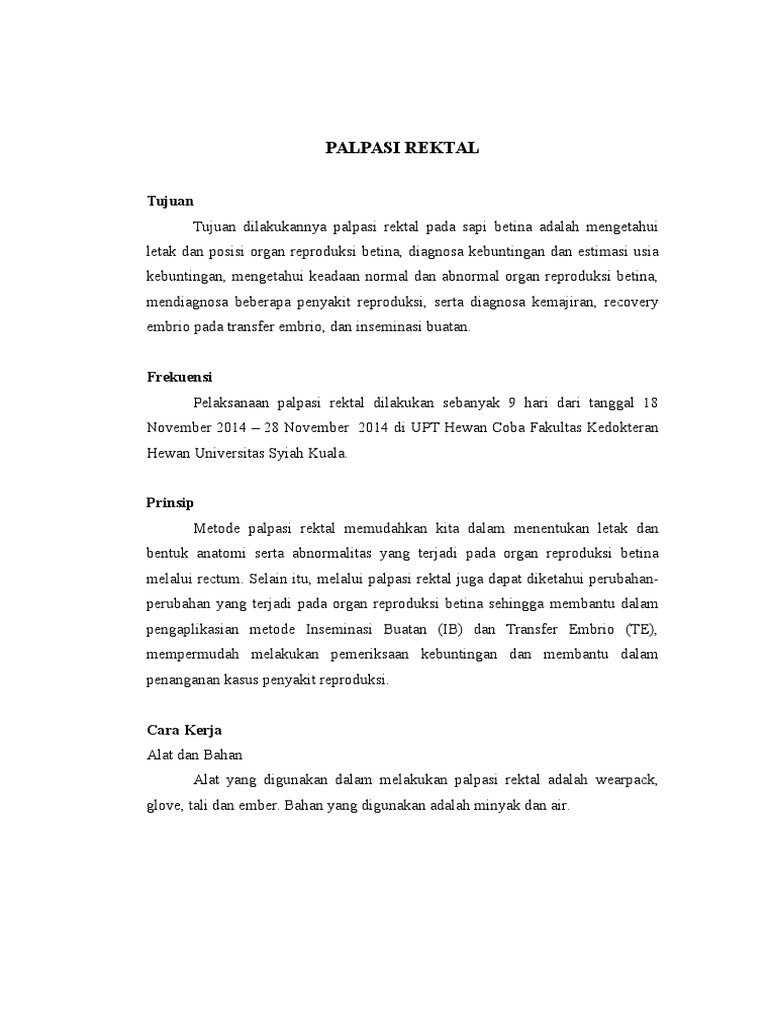 Palpasi Rektal Sapi Betina | PDF