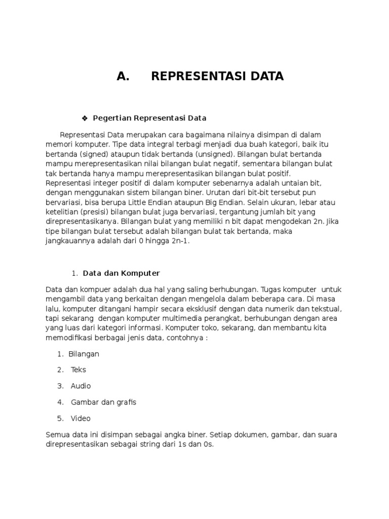 Makalah Representasi Data | PDF
