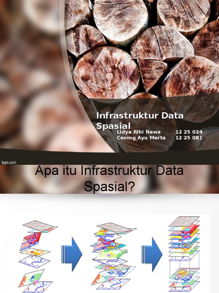 Infrastruktur Data Spasial di Indonesia | PDF