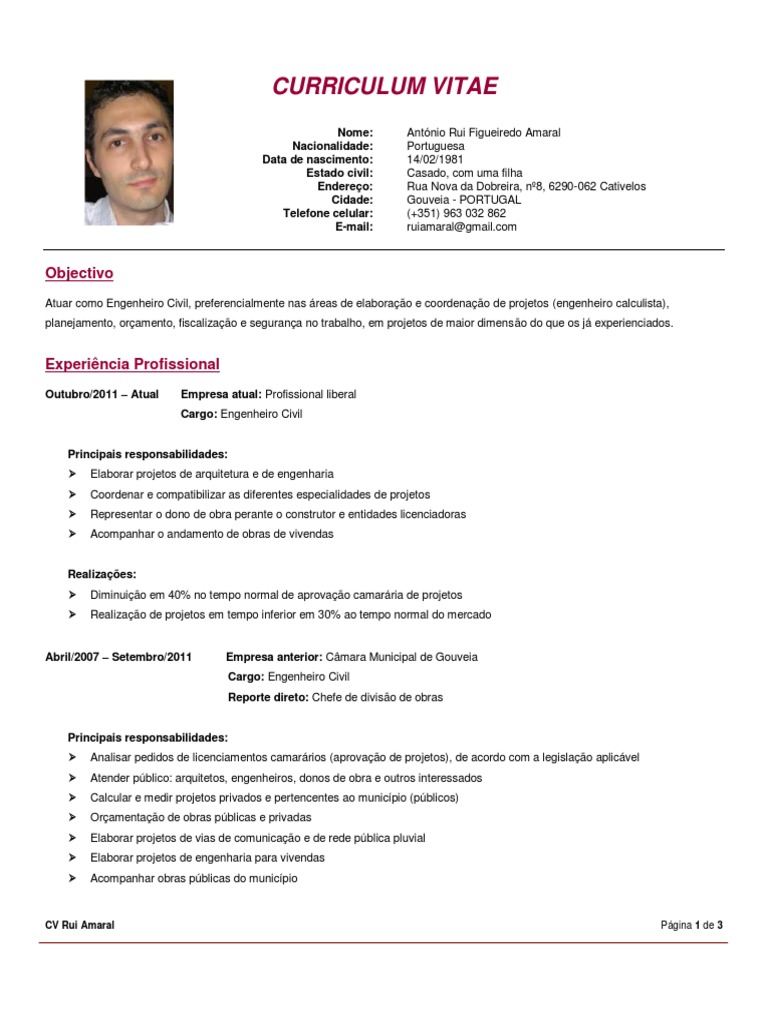 Modelo-De-CV - BRASILEIRO Rui Amaral Com Foto | PDF | Arquiteto ...