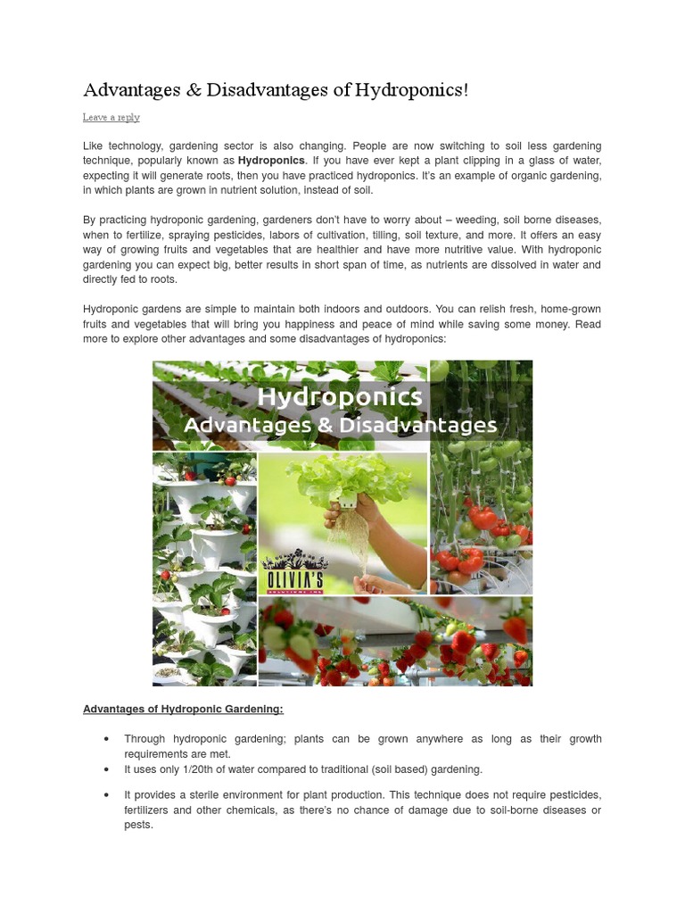 Advantages and Disadvantage Hidroponic | PDF | Hydroponics | Soil