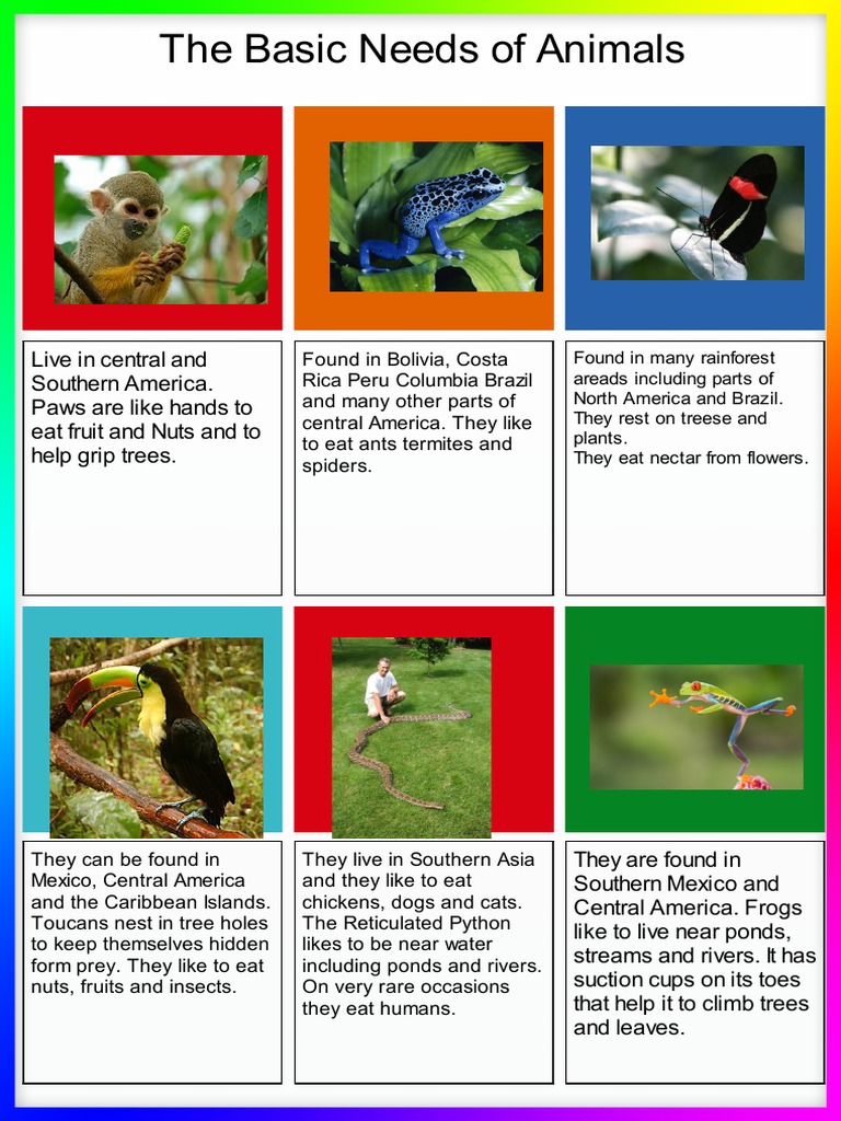 Basic Needs of Central American Animals | PDF | Home & Garden