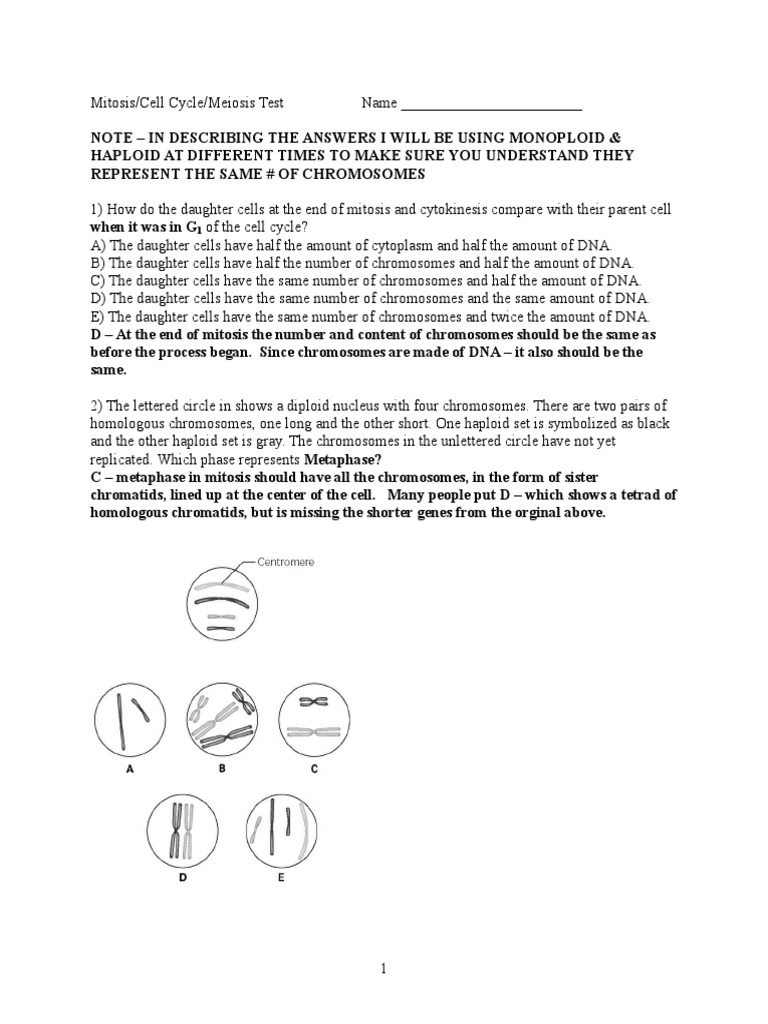 Mitosis and Meiosis Test Overview | PDF | Meiosis | Mitosis
