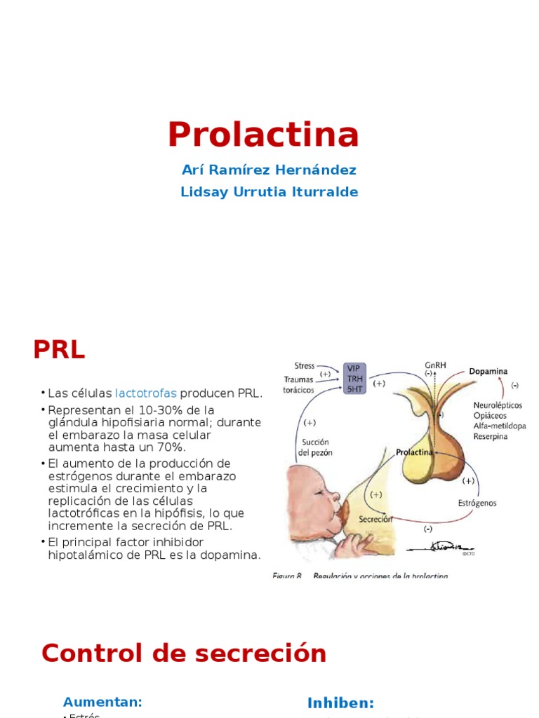 Prolactina: Hiper e Hipoprolactinemia | PDF