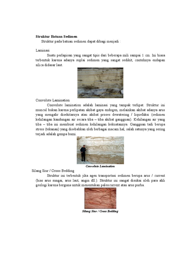Struktur Batuan Sedimen | PDF | Sains & Matematika