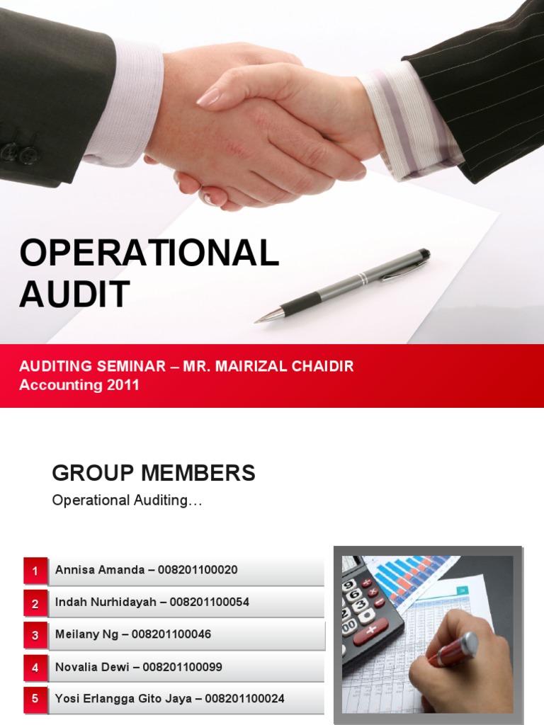 Operational Audit Overview and Steps | PDF