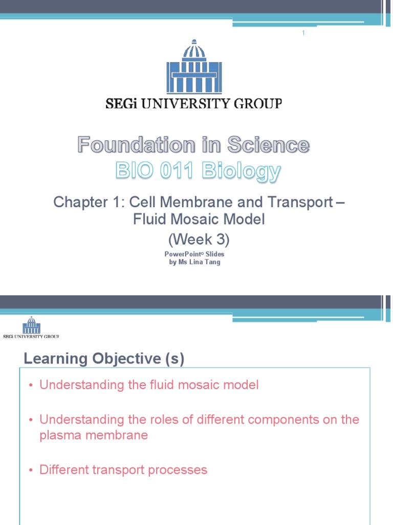 (284704265) 1.2 Fluid Mosaic Model | PDF | Cell Membrane | Osmosis