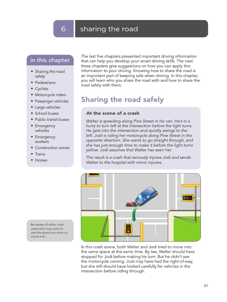 Sharing The Road Safely | Download Free PDF | Pedestrian Crossing | Traffic