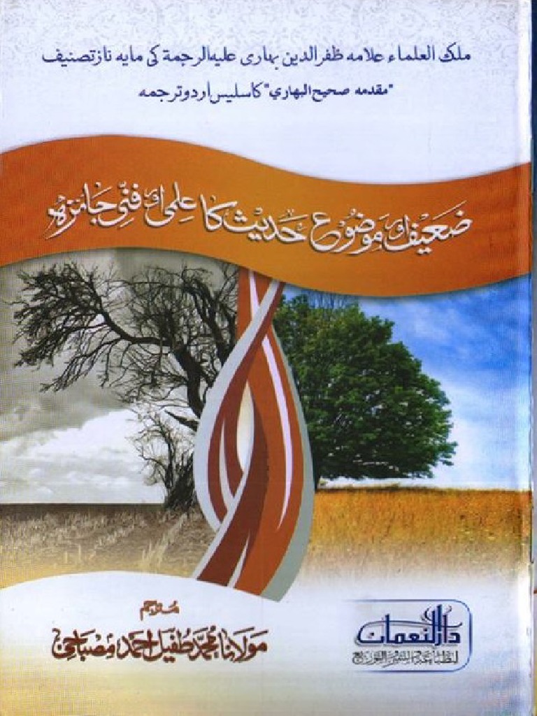 Zaeef Wa Mauzooh Ahadees Ka Fanni Jaiza by Tufail Ahmad Misbahi | PDF