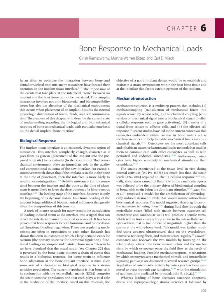 Mechanical Loads - Bone Response | PDF | Integrin | Osteoblast