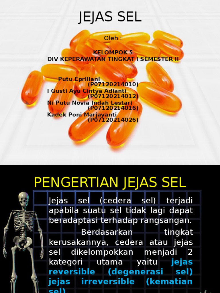 Jejas Sel | PDF