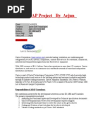 SAP Technical Specification Template | PDF