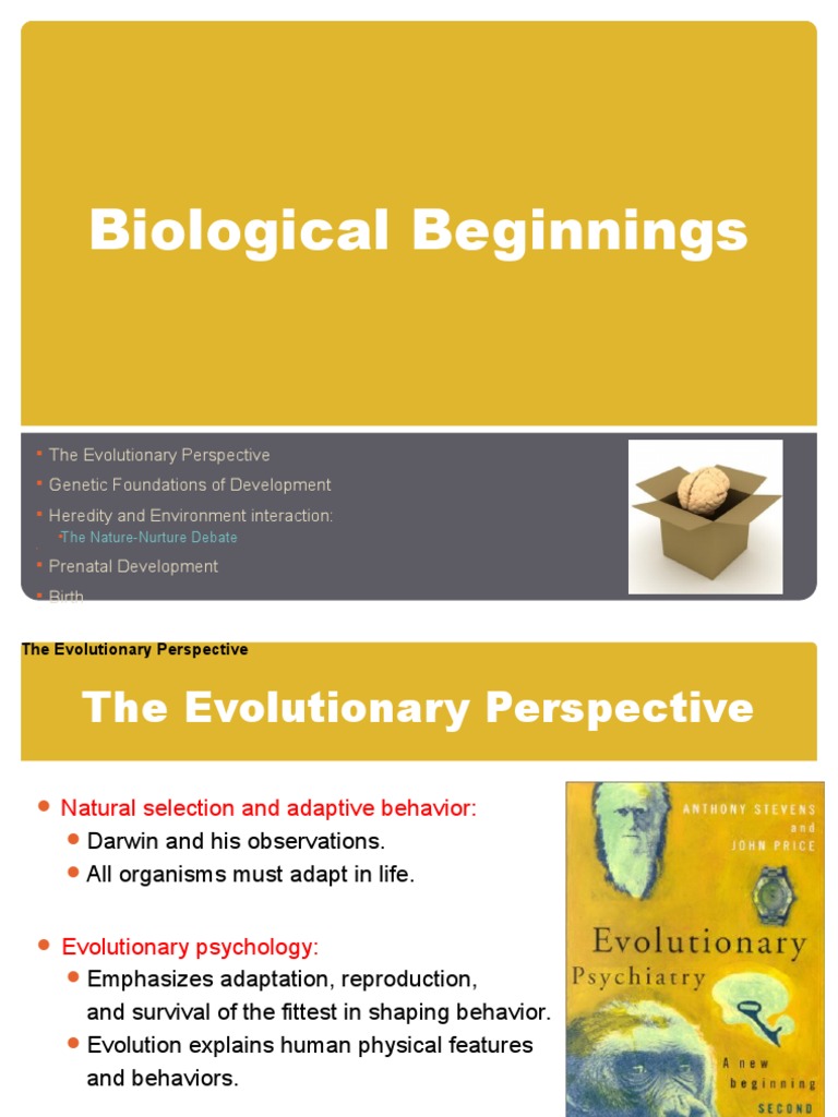 Biological Beginnings | PDF | Evolution | Prenatal Development