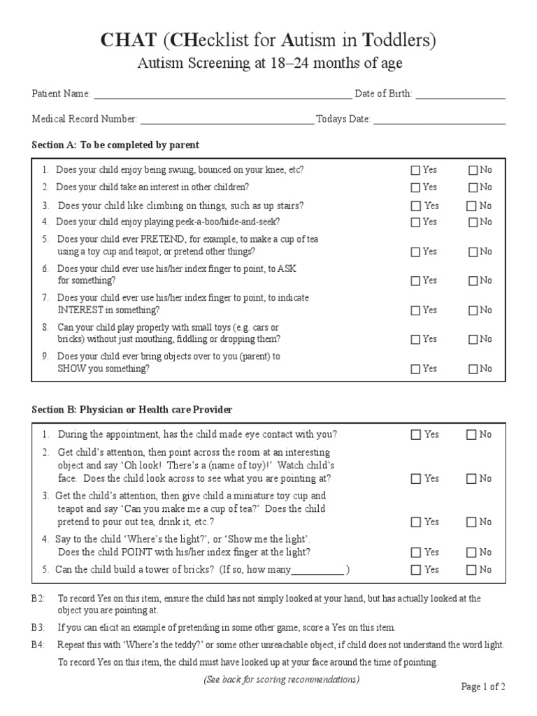 CHAT Checklist English | PDF