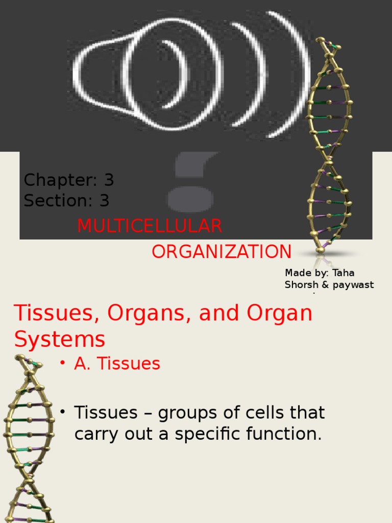 Biology Powerpoint 3.3 | PDF | Science & Mathematics