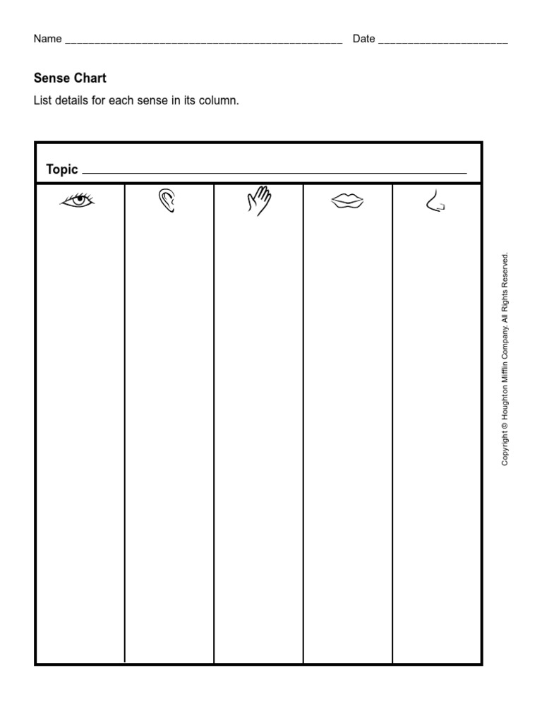 Sense Organizer | PDF | Computers