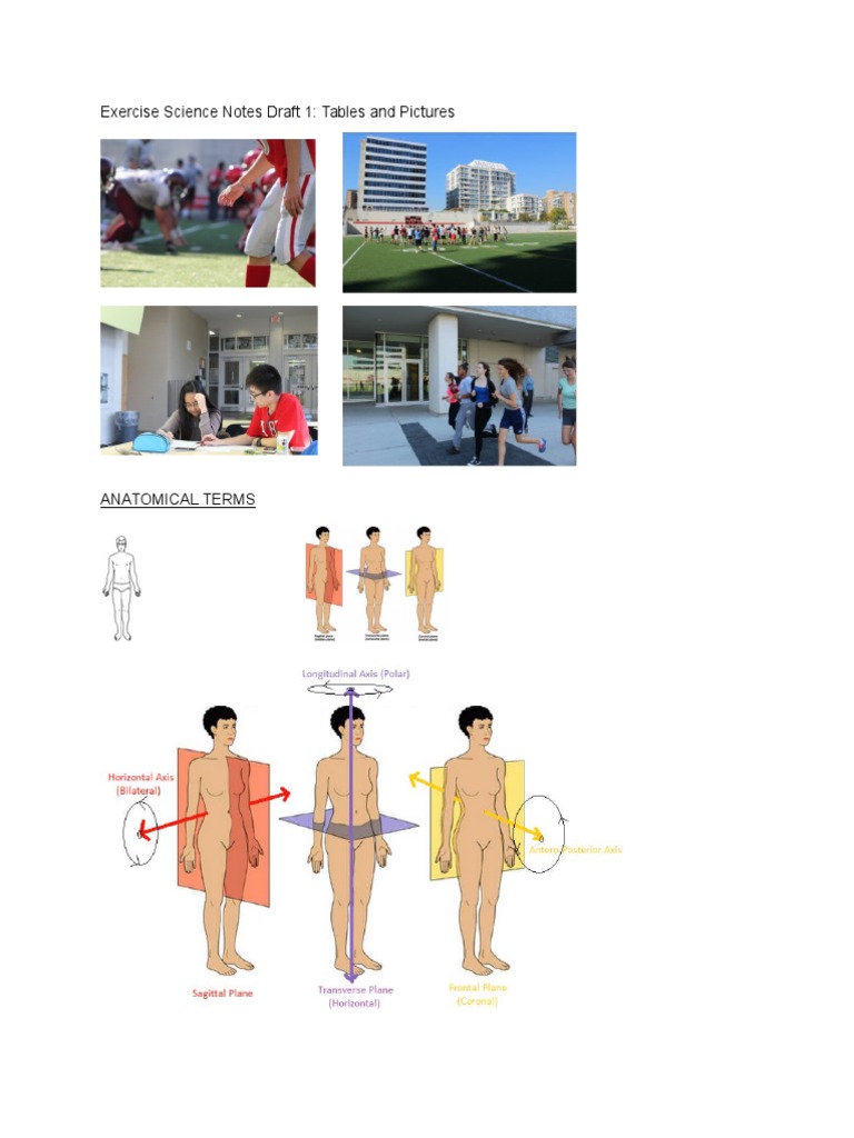Exercise Science Isu Pictures Tables | PDF