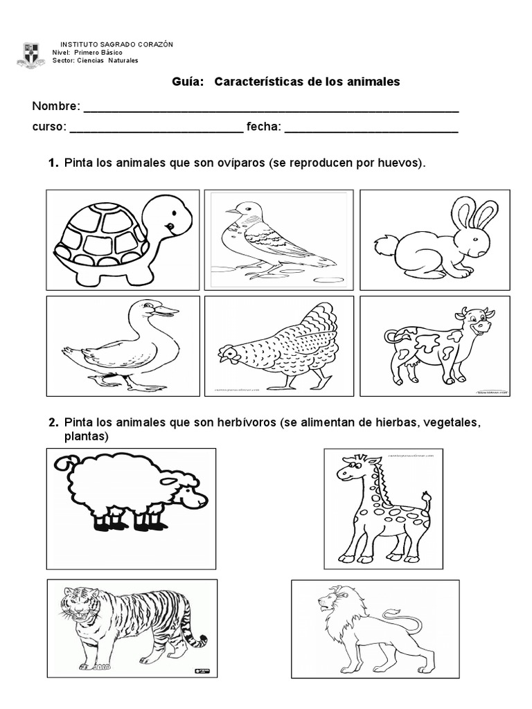 Ciencias 1° Guía Características de Los Animales | PDF