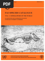 NOAA Shark Identification Placards | PDF | Sharks | Vertebrates