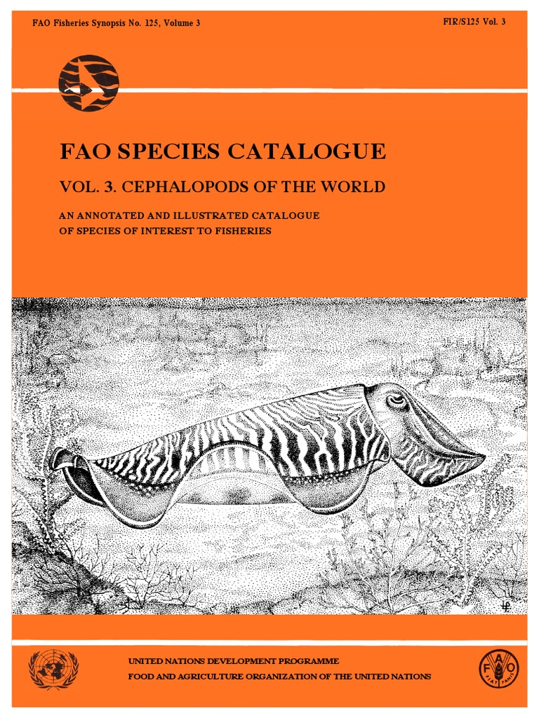 FAO SPECIES CATALOGUE. Cephalopods of The World | PDF | Anatomical ...