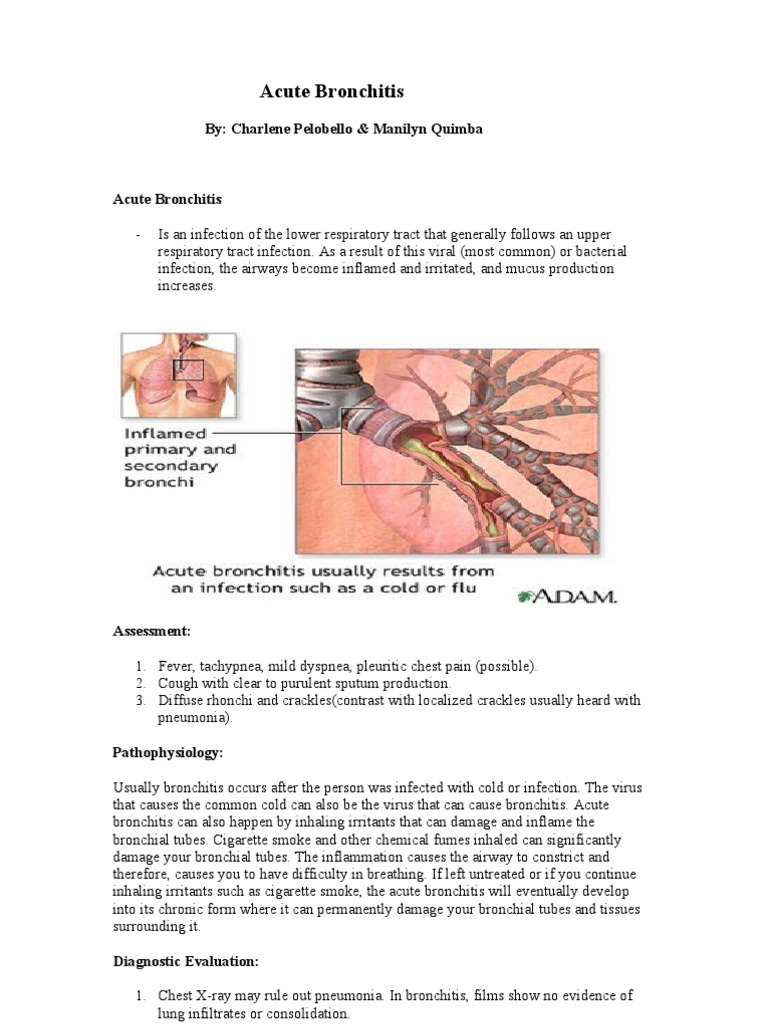 Acute Bronchitis | PDF | Bronchitis | Cough