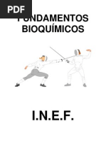 Bioquímica - Amanda Angulo, Alma Galindo, Roberto Avendaño, Carolina ...
