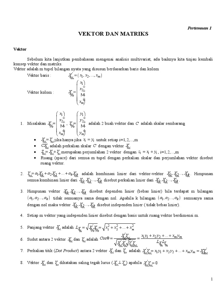 Vektor Dan Matriks | PDF