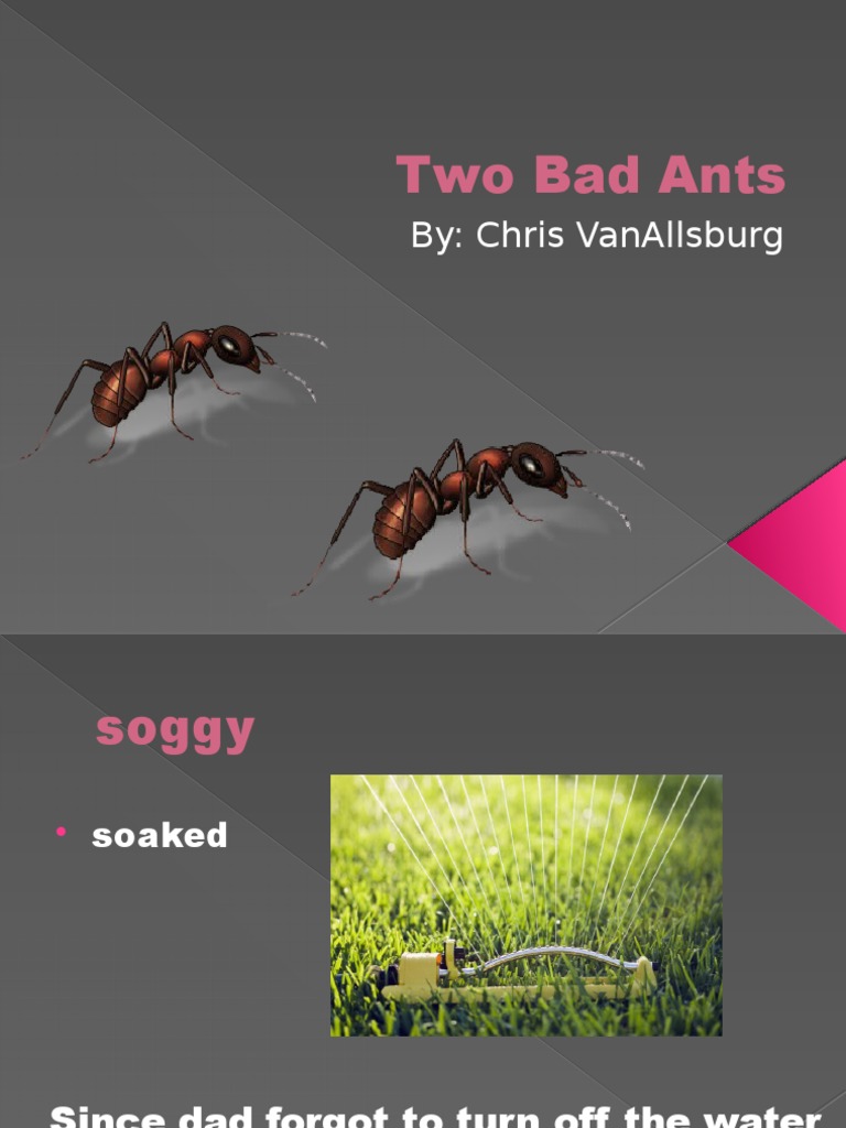 Two Bad Ants Vocabulary Review | PDF