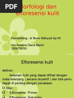 Morfologi Lesi Kulit: Jenis dan Ciri | PDF