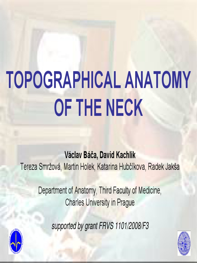 Topographicanatomy Neck Tisk | PDF | Human Head And Neck | Human Anatomy