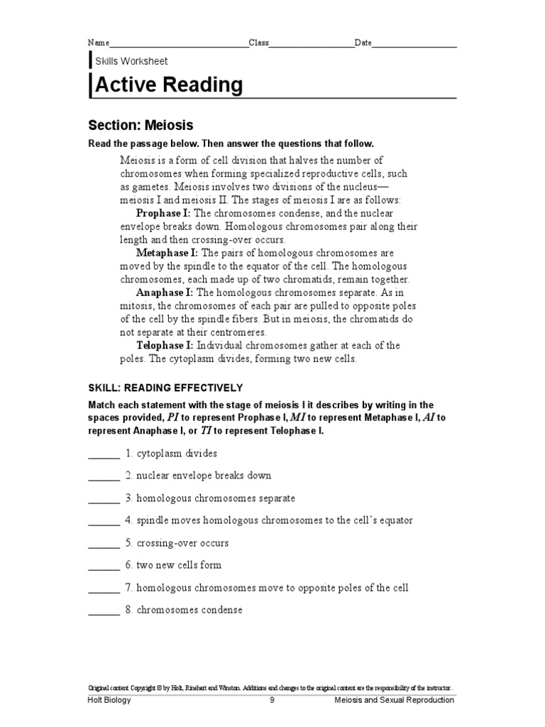 Active Reading | PDF | Meiosis | Mitosis