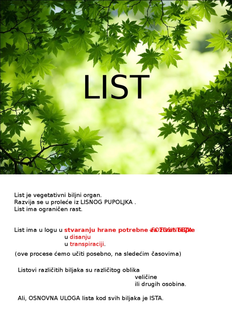 List | PDF