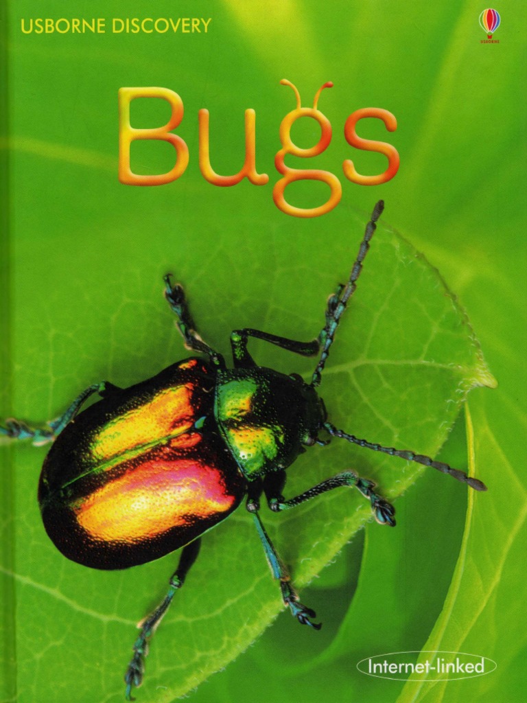 Bugs. Usborne | PDF