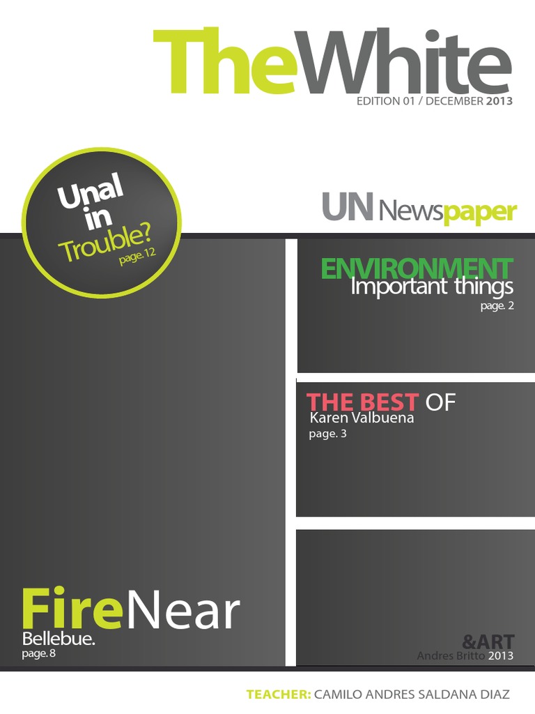 The White News Paper | PDF | Waste | Violence