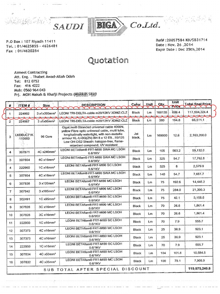 Saudi Biga LTD | PDF