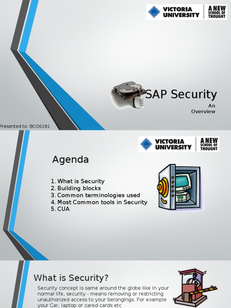 SAP Security | PDF | Password | Information Security