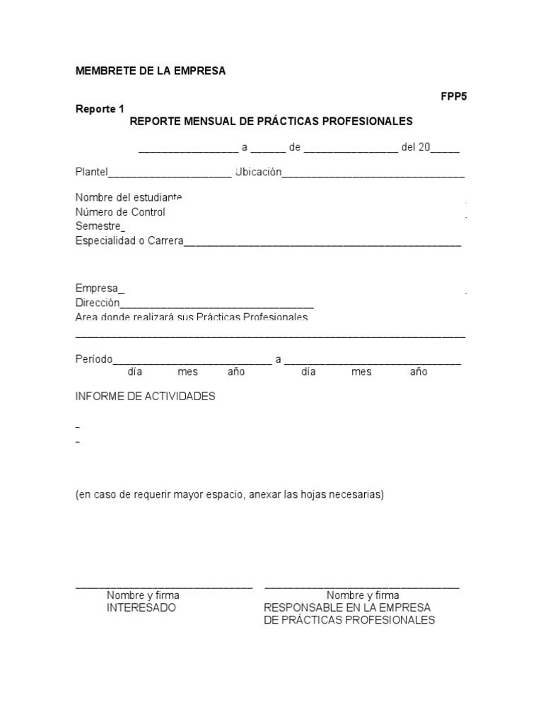 Reporte Mensual PP | PDF