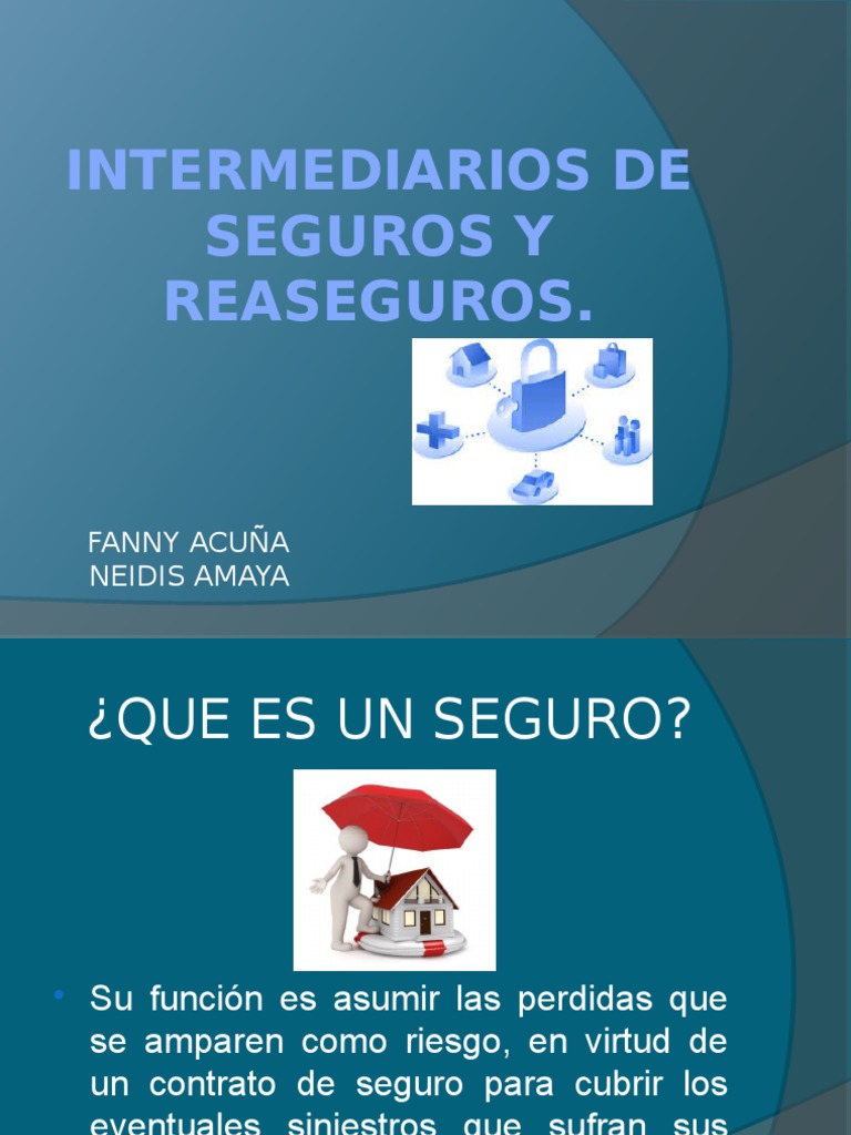 Intermediarios de Seguros y Reaseguros | PDF