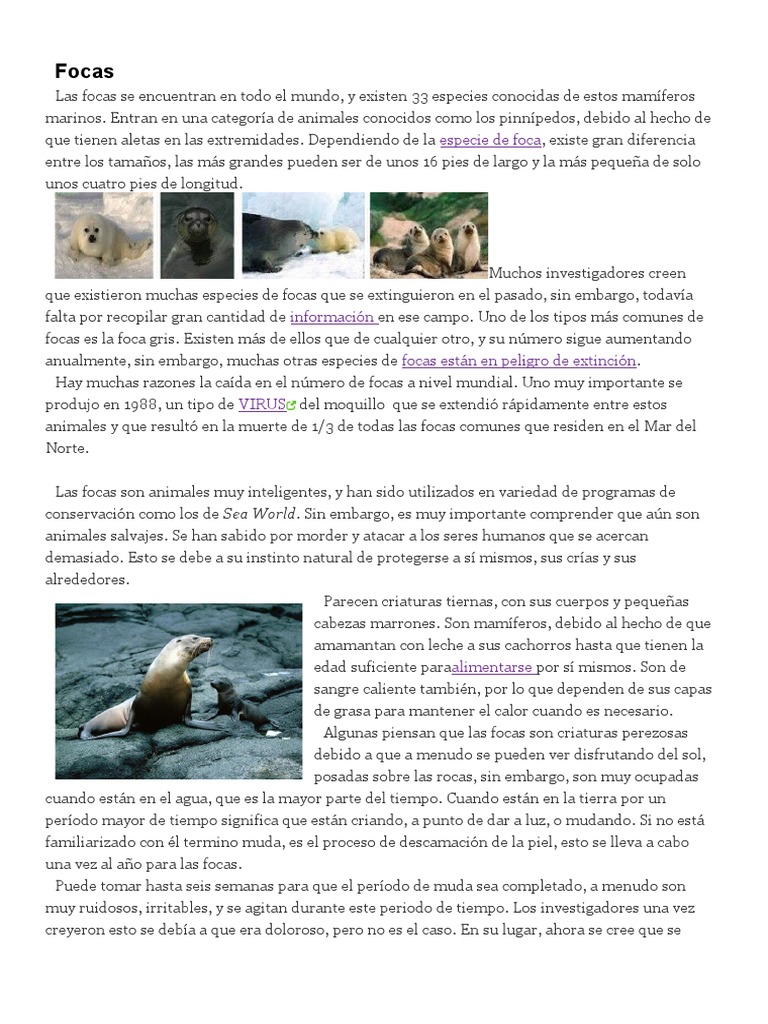 Focas | PDF | Pinnípedo | Extinción