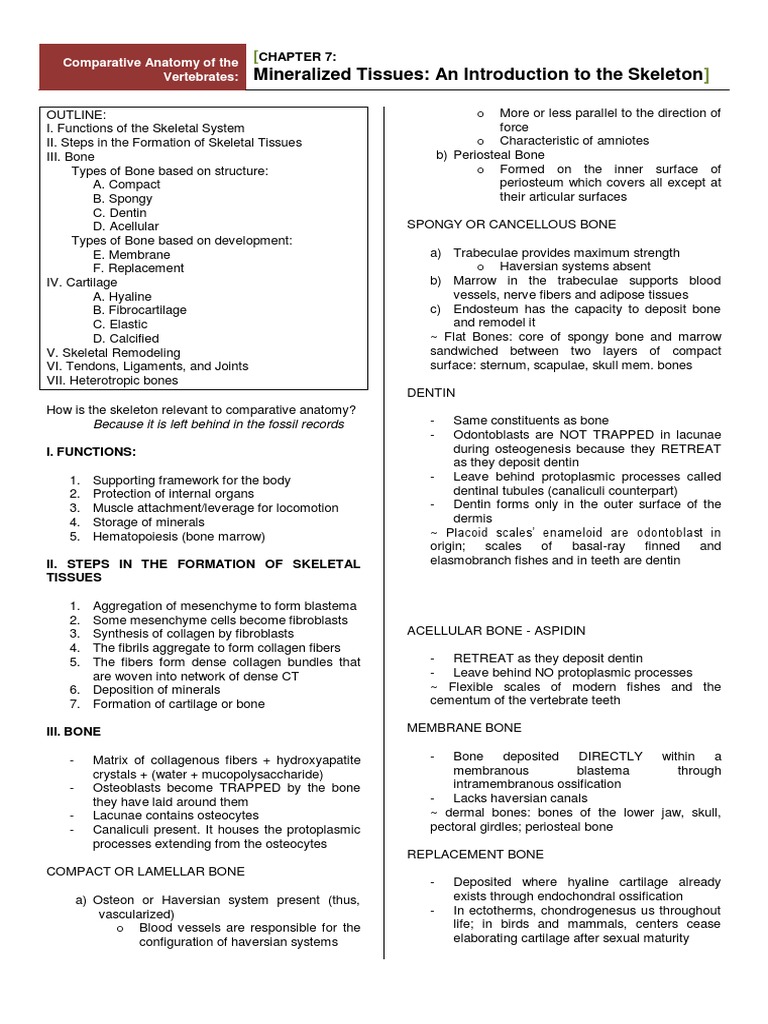 07 Mineralized Tissues | PDF | Science & Mathematics